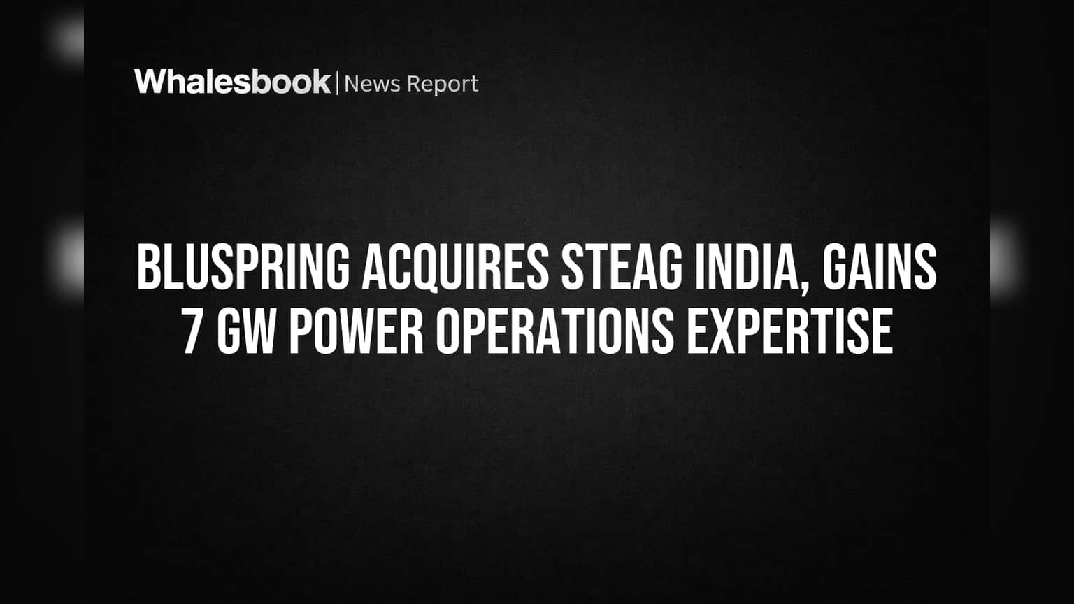 Bluspring Acquires STEAG India, Gains 7 GW Power Operations Expertise ...